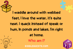70+ Best Riddles about Ducks To Test Your Wits - Riddle Quests