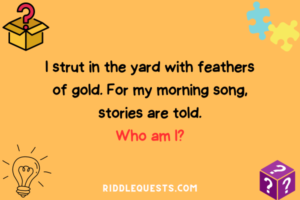 70+ Riddles About Chickens With Answers - Riddle Quests