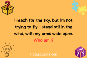 70+ Riddles About Tree With Answers - Riddle Quests