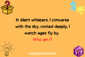 70+ Riddles About Tree With Answers - Riddle Quests