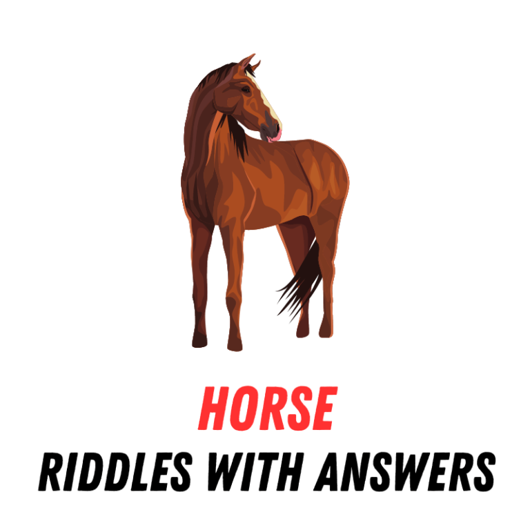 70+ Riddles About Horse With Answers - Riddle Quests